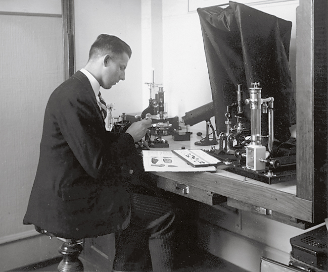 The History of the House of Gübelin